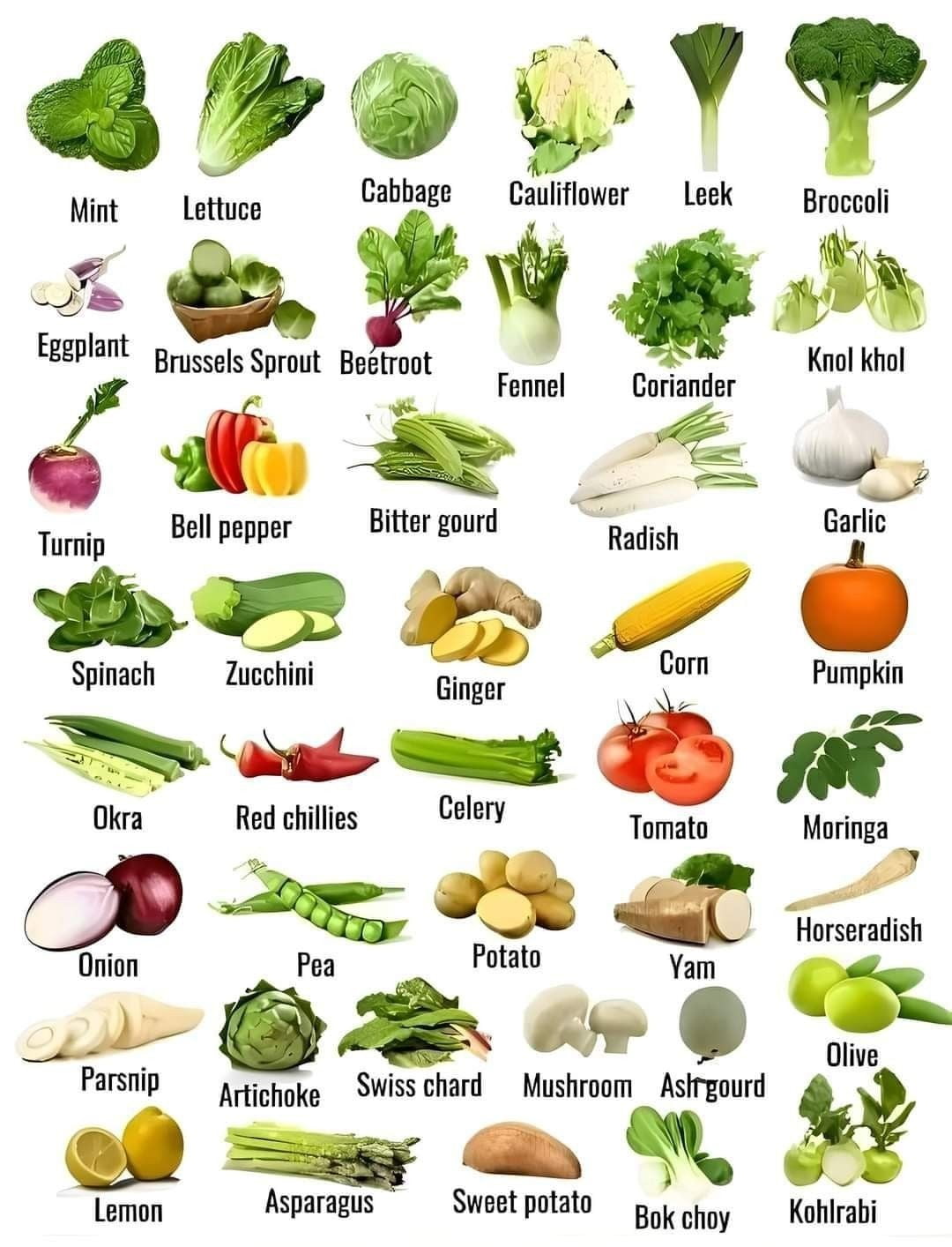 Vegetable food Healthy nutrition checklist poster meal planning healthy ...