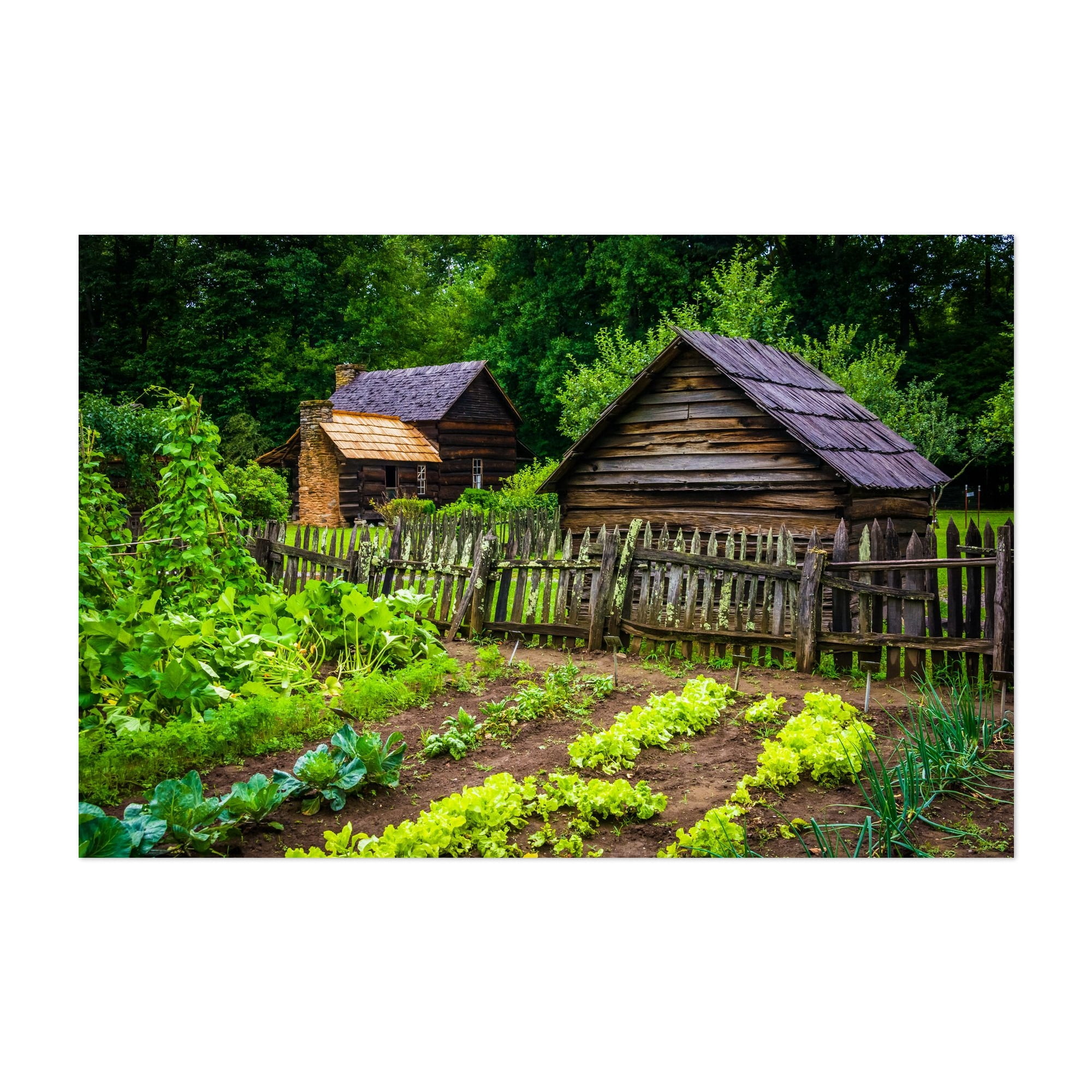 Vegetable garden at the Mountain Farm Museum - North Carolina ...