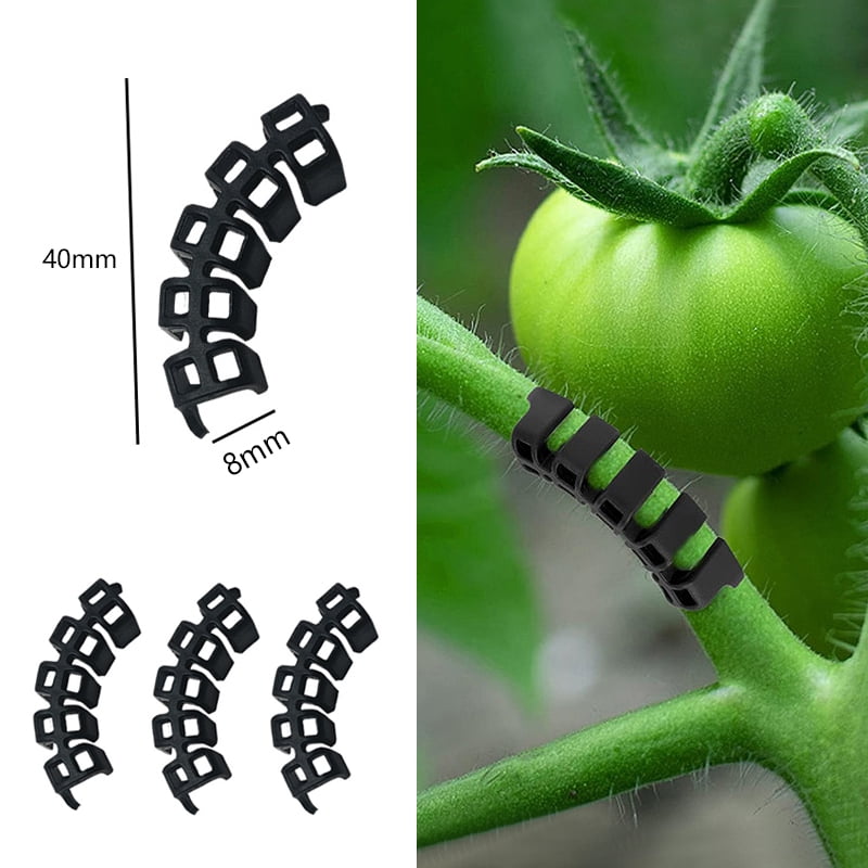 Vegetables Tomato Fixing Clips Reuseabl to Prevent Bending Support ...