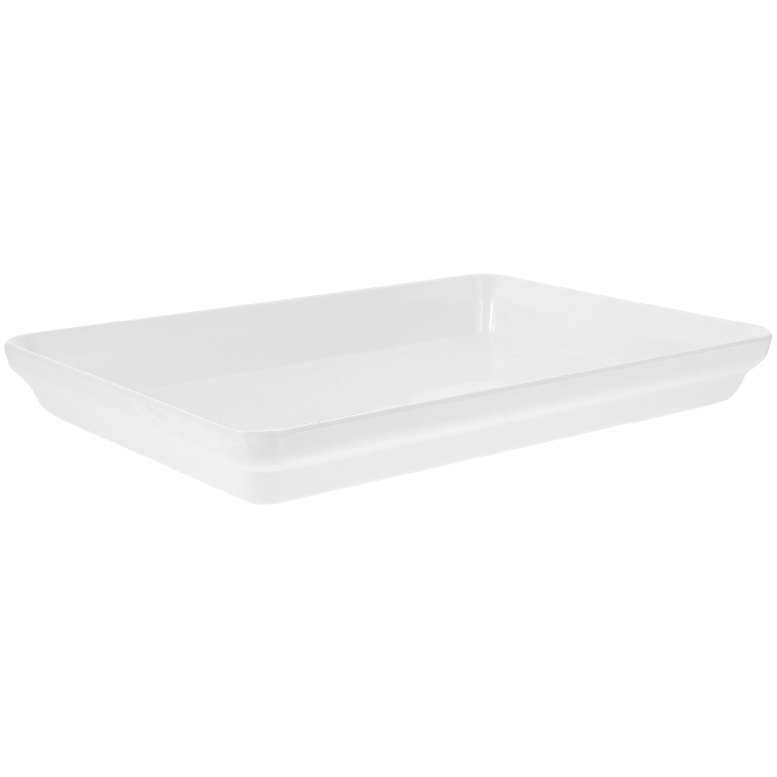 Veggie Tray Countertop Tray Trays for Serving Food Trays for Organizing ...