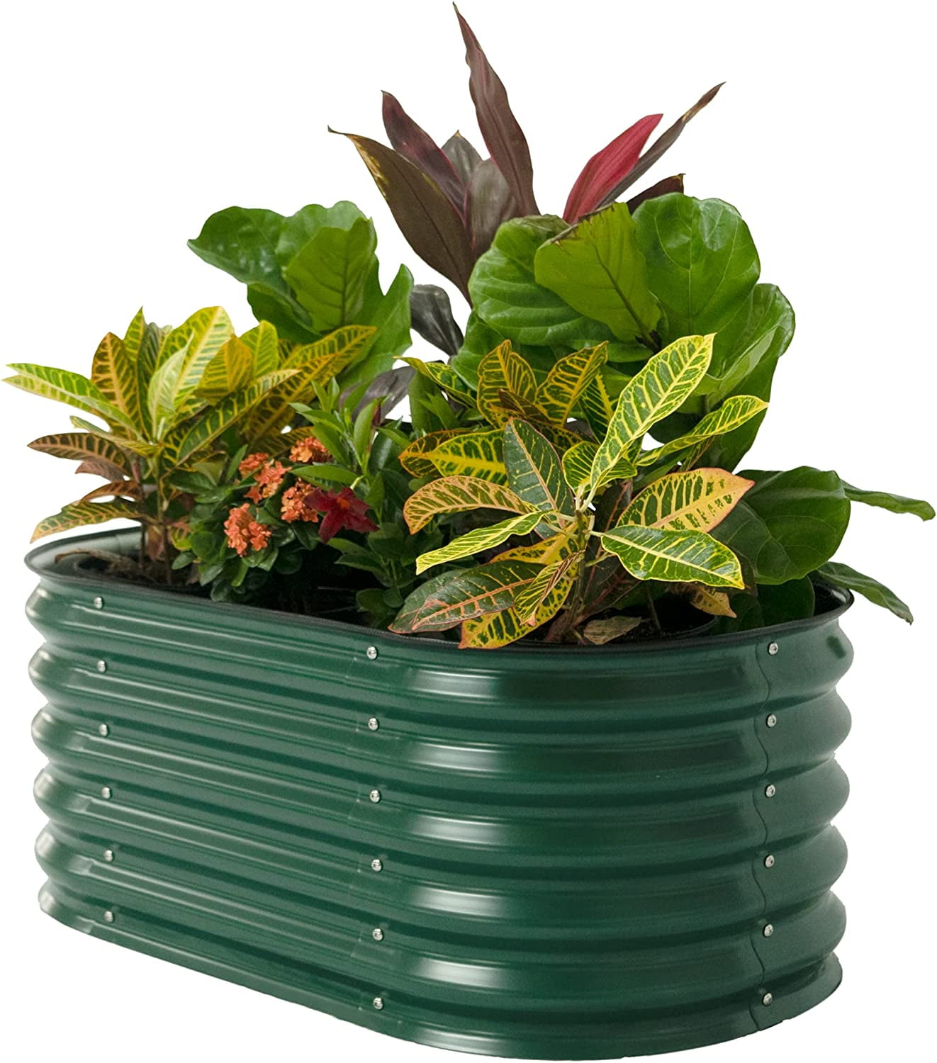 Vego Garden 17" Tall Kids First Gardening Bed 42" x 24" Raised Planter ...