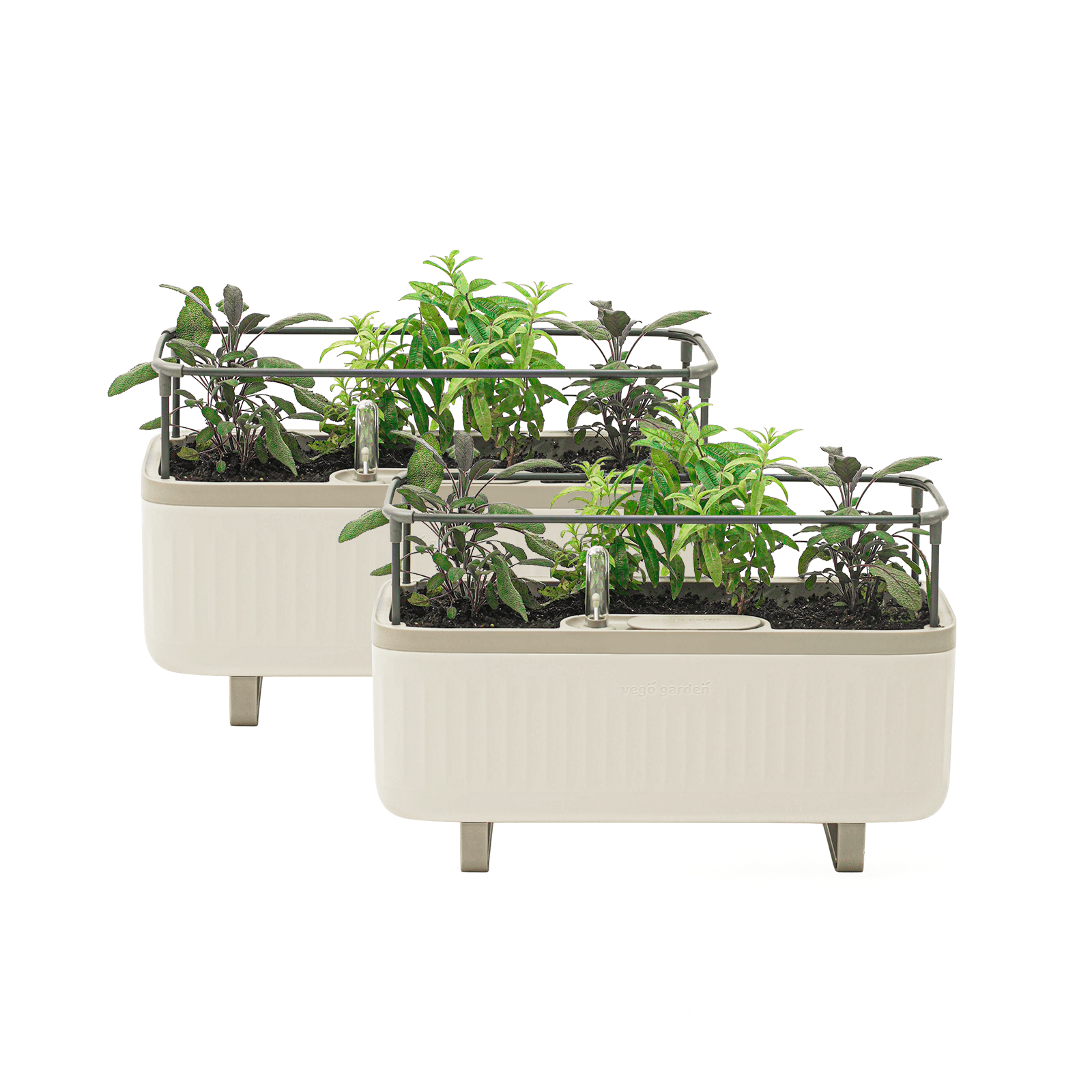 Vego Garden 2 Pack Self-Watering Herb Planter Box with Trellis Cream ...