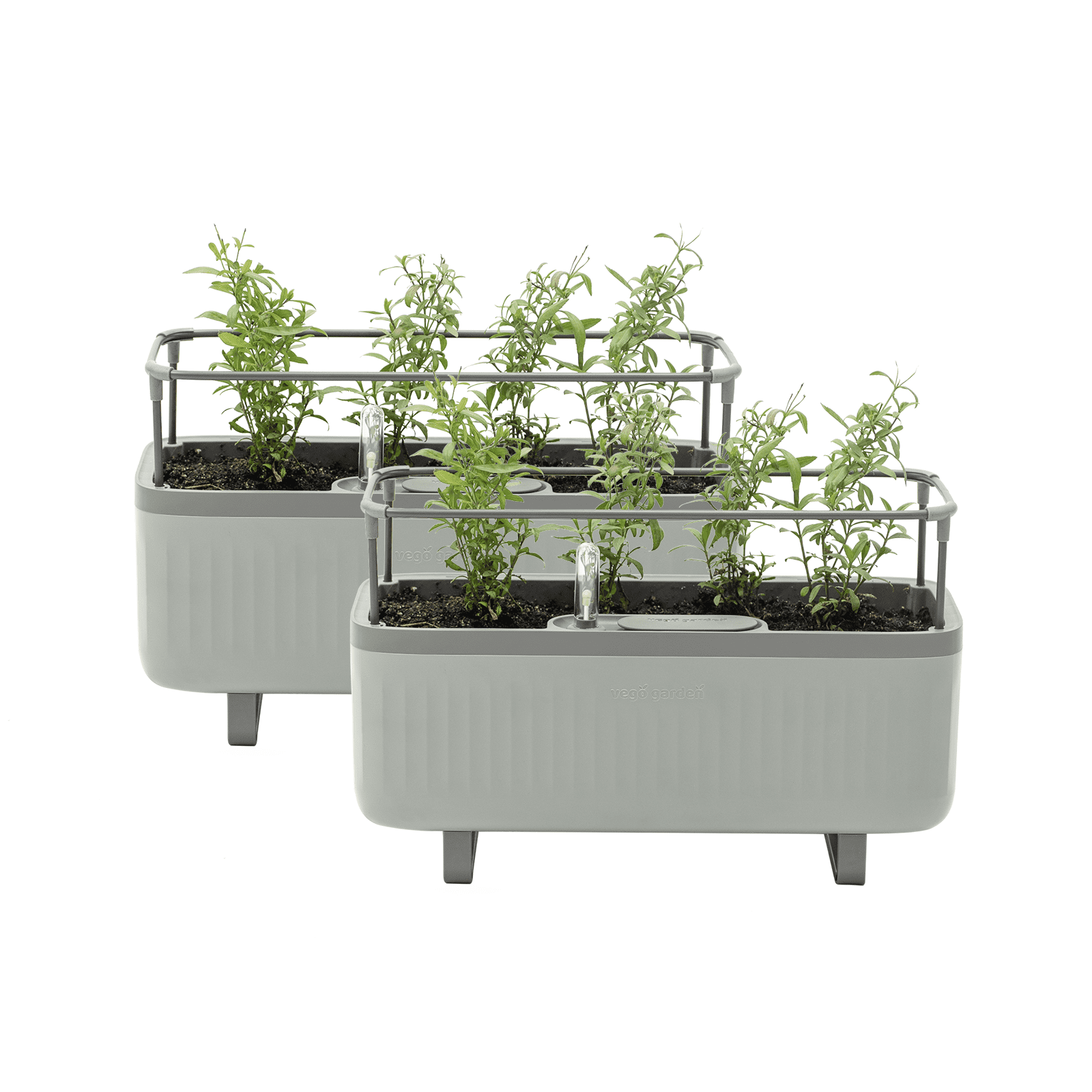 Vego Garden 2 Pack Self-Watering Herb Planter Box with Trellis Fog Gray ...