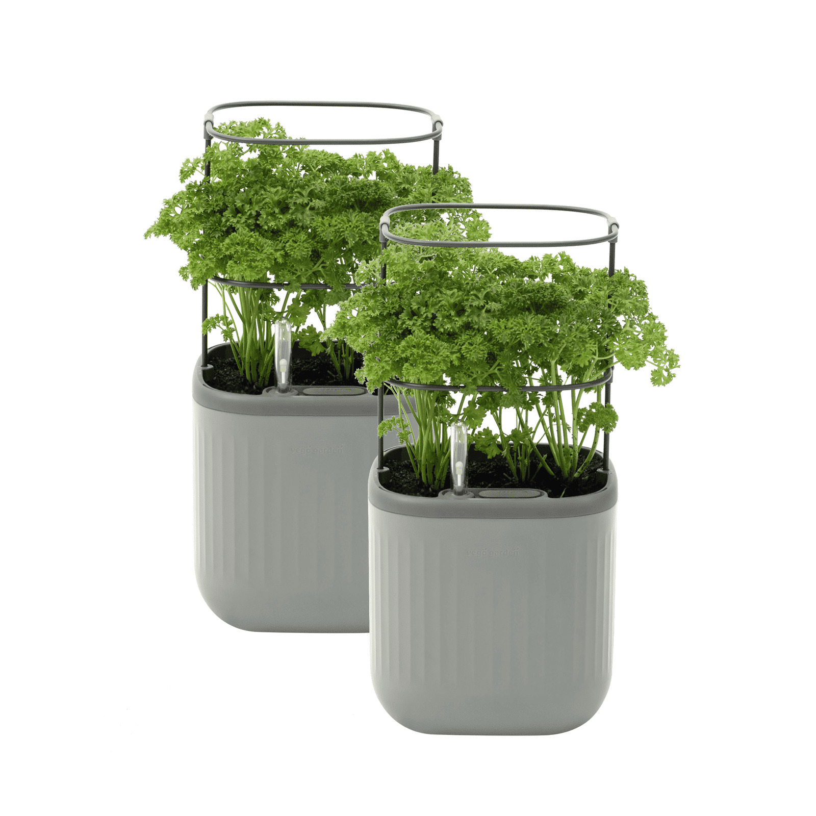 Vego Garden 2 Pack Self-Watering Mini Planter Box with Trellis Fog Gray ...