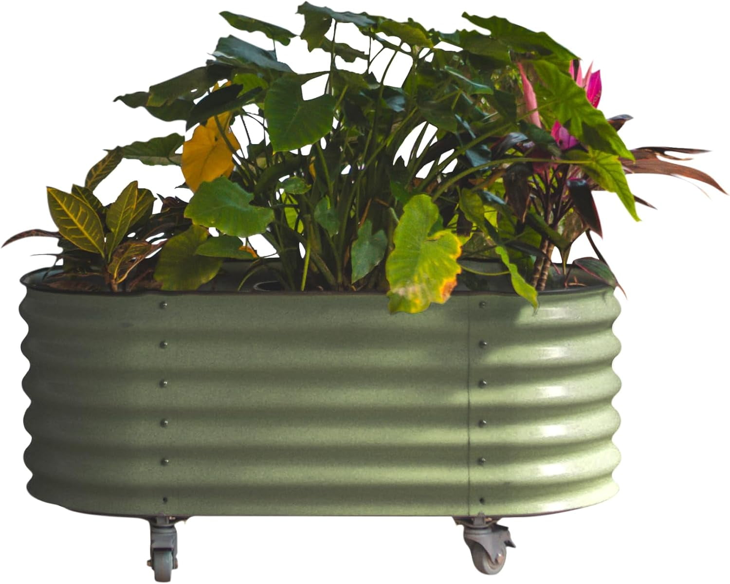 Vego Garden 2 x 4 ft Self-Watering Rolling Planter Raised Gardening Bed ...