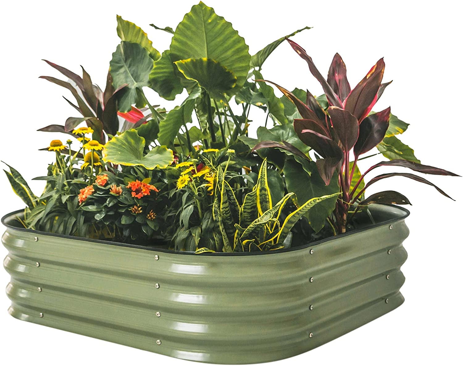 Vego Garden Raised Gardening Bed Kit 11" Tall 4 in 1 Modular Metal ...