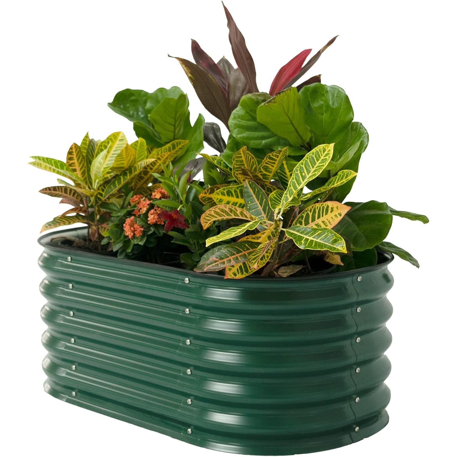 Vego garden 17" Tall Kids First Garden Bed 42" x 24" Raised Planter Box ...