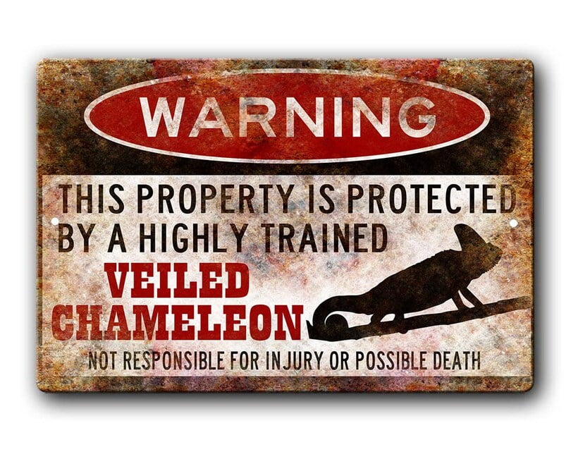 Veiled Chameleon Sign,Funny Metal Signs,Chameleon Gift,Chameleon ...