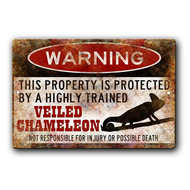 Veiled Chameleon Sign,Funny Metal Signs,Chameleon Gift,Chameleon ...