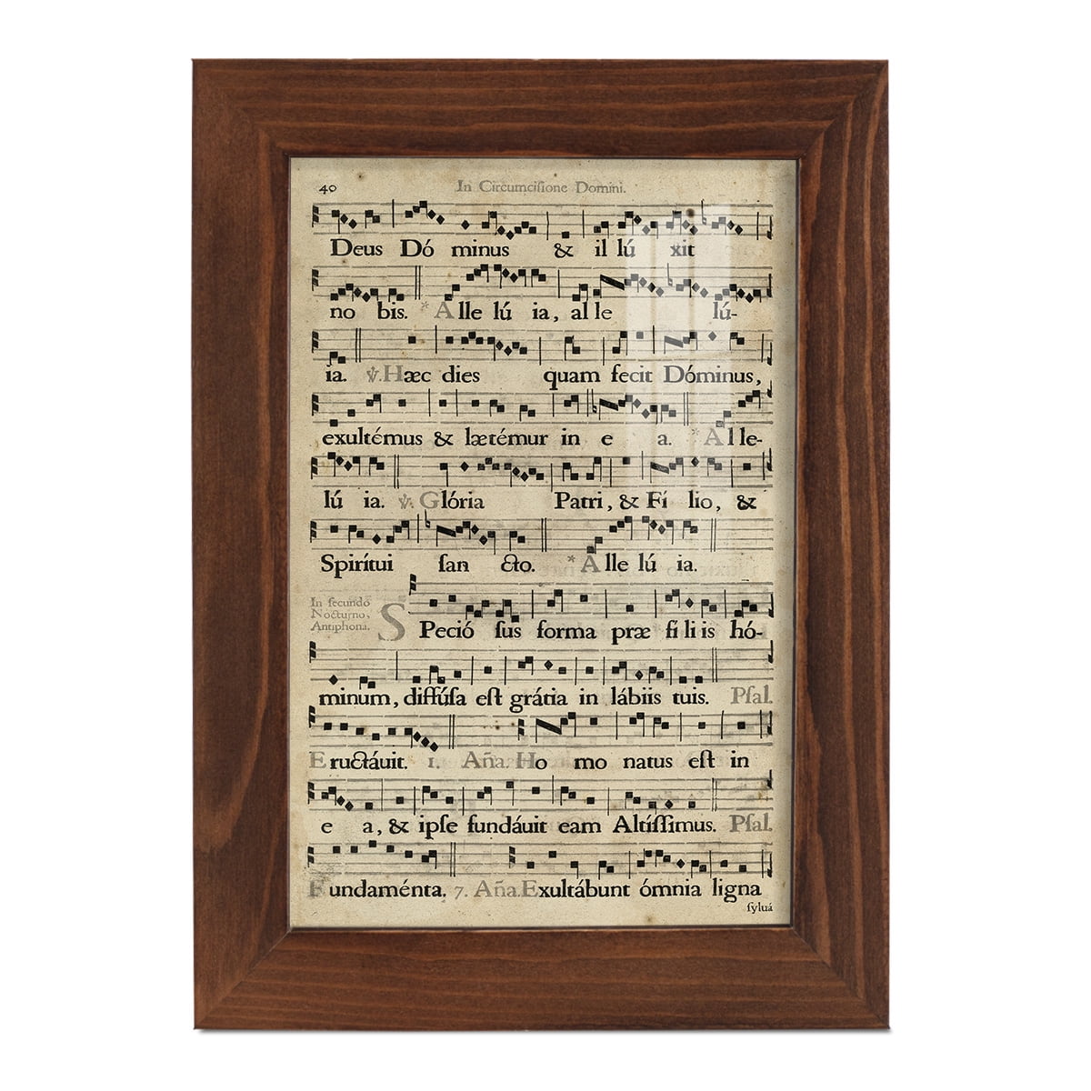 Vellum Songbook II -Framed Print w/glass-Chestnut - Walmart.com