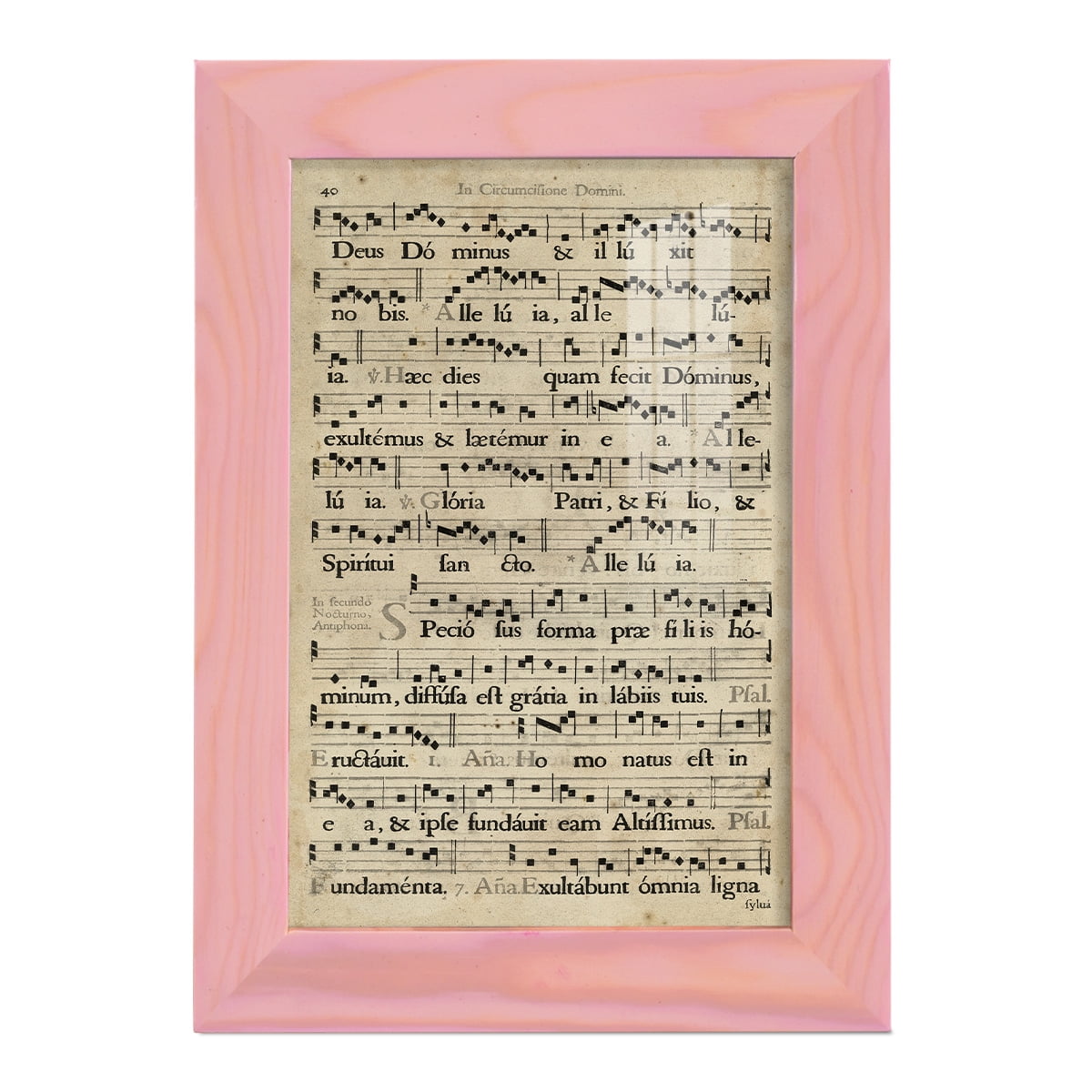 Vellum Songbook II -Framed Print w/glass-Sunset Pink - Walmart.com