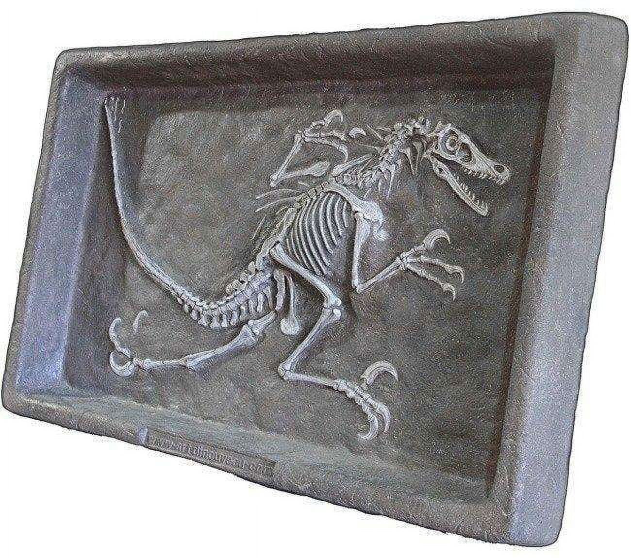 Velociraptor Dinosaur Fossil Dig Life Size Statue - Walmart.com