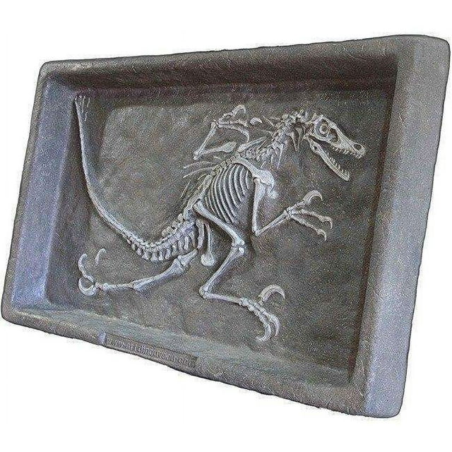 Velociraptor Dinosaur Fossil Dig Life Size Statue - Walmart.com