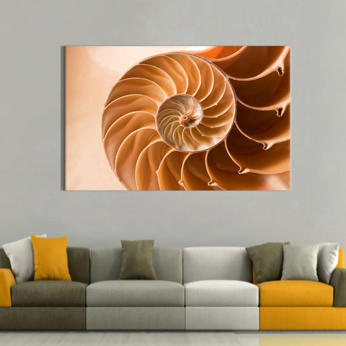Velto Neutral Tones Wall Art, Nautilus Shell, Elegant Seashell, Modern ...