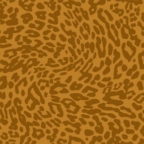 Cheetah Prints