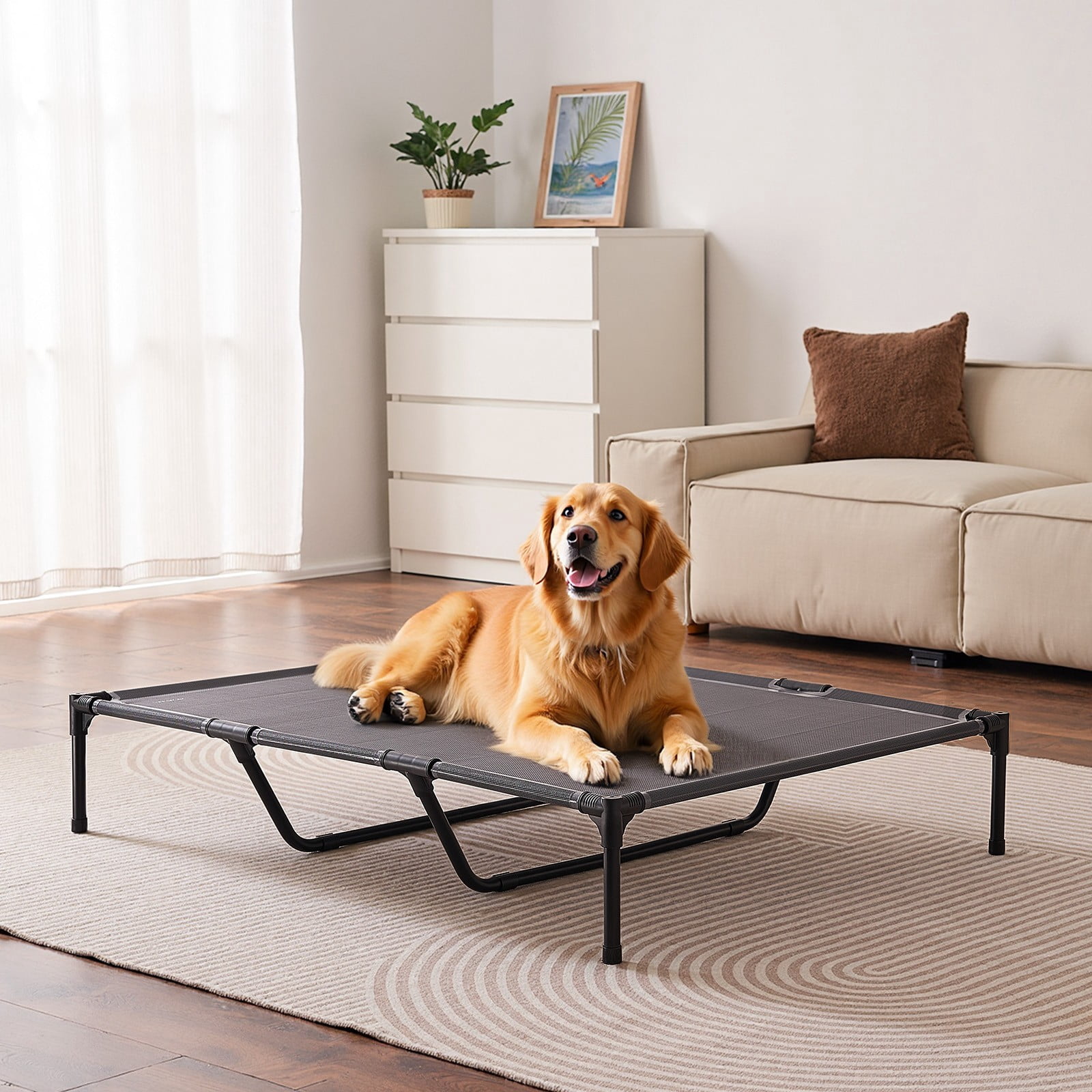 VelvetBlossom Elevated Dog Bed for Large Dog Portable Raised Dog Cot ...