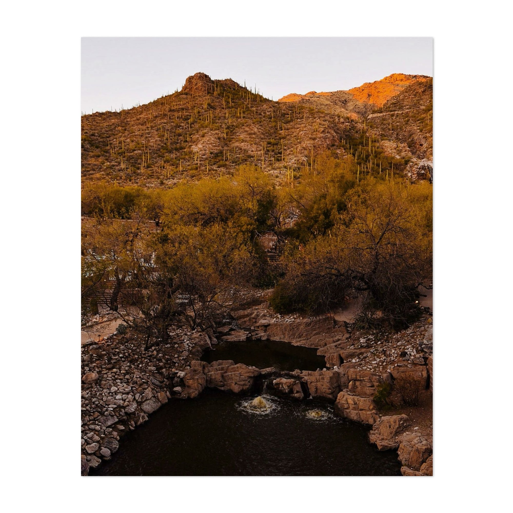 Ventana Canyon - Catalina Foothills Arizona Photography Desert Cactus ...