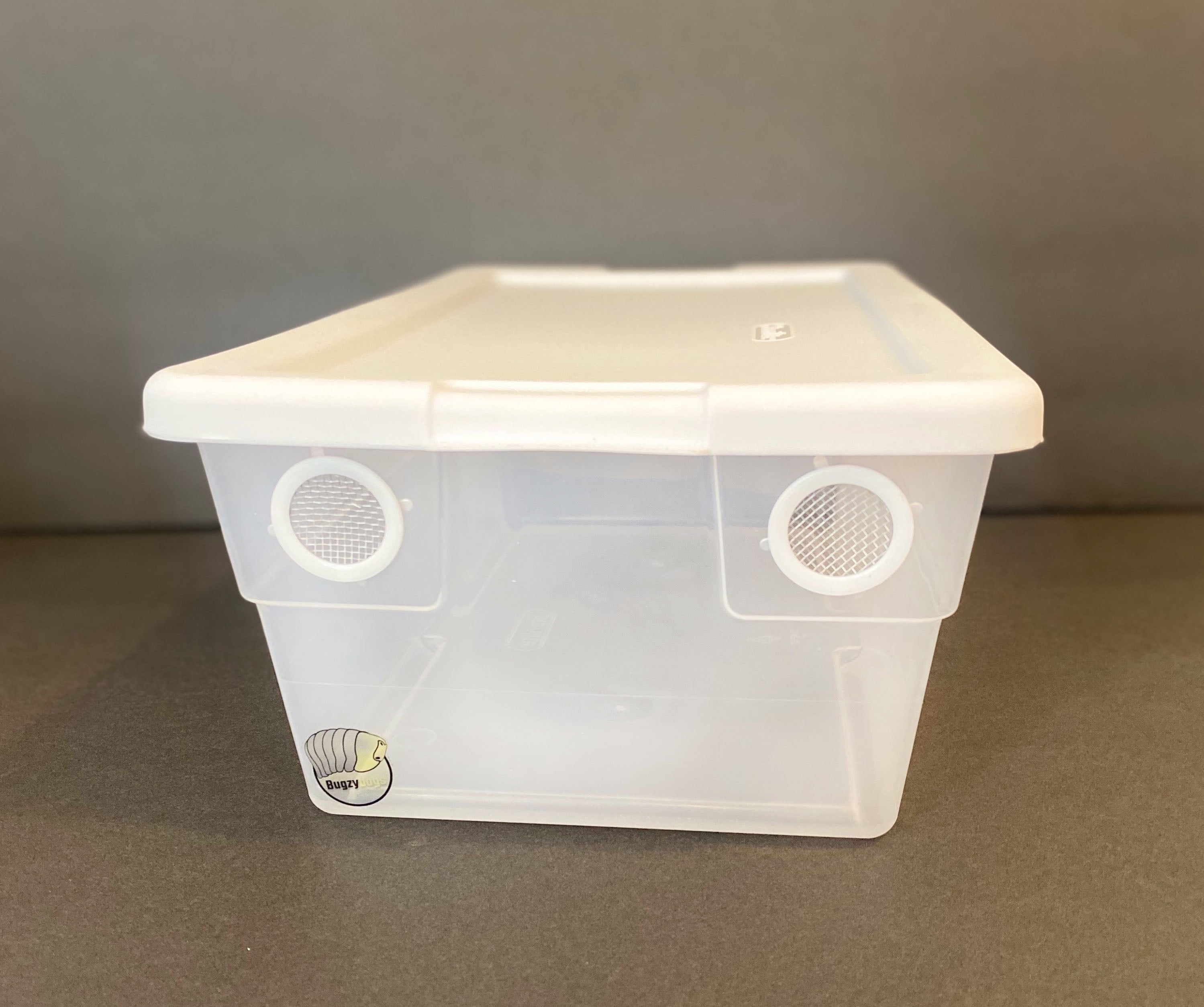 Vented Vivarium Enclosure 6 Quart White Vents Terrarium Container for ...