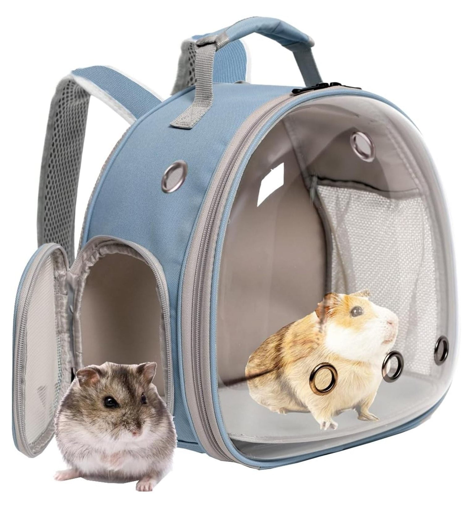 Ventilation for Bearded Dragon,Guinea Pig ,Guinea Pig for 2,Reptile ...