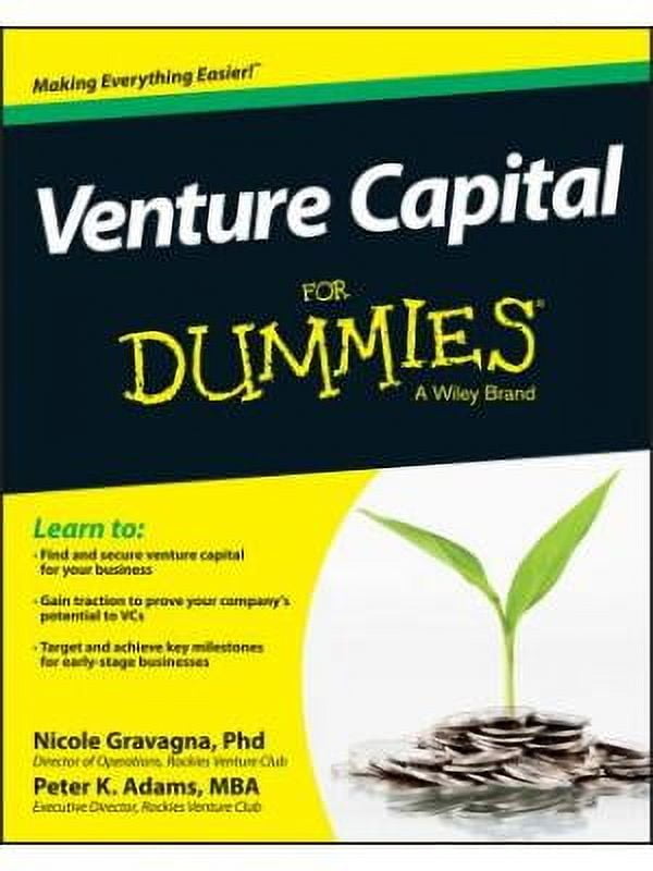 Venture Capital For Dummies - Walmart.com