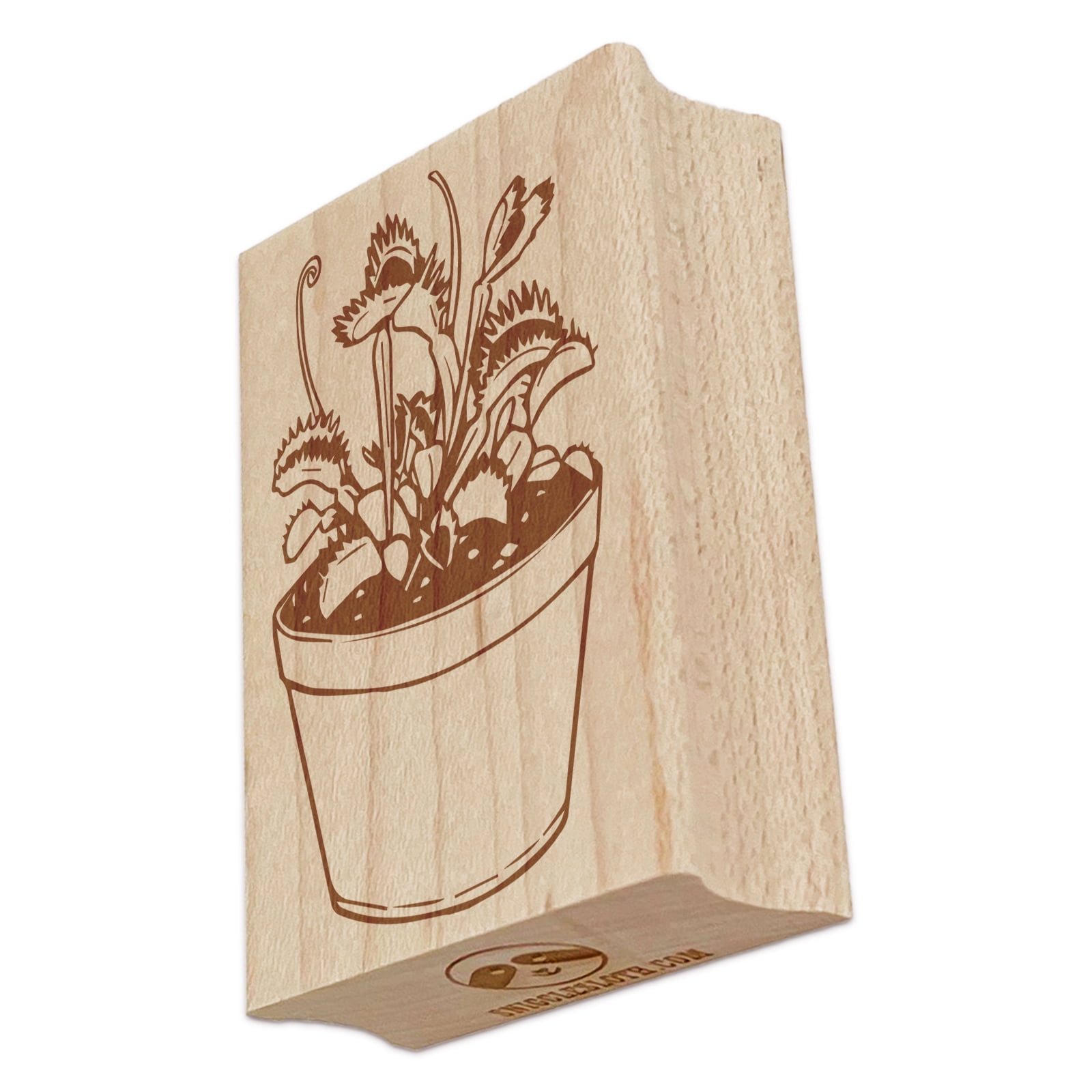 Venus Flytrap Carnivorous Potted Plant Rectangle Rubber Stamp Stamping ...