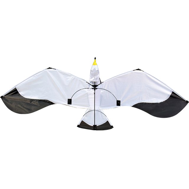 VerPetridure Three-Dimensional White Seagull 3D Three-Dimensional ...
