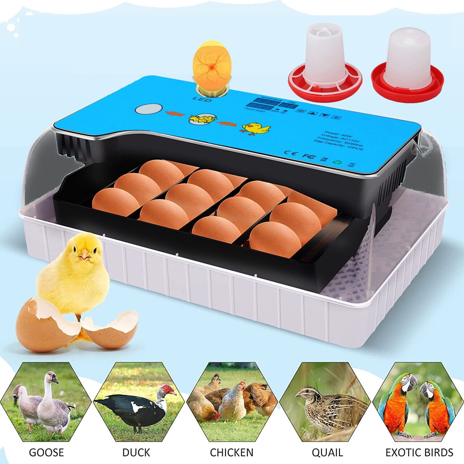 Verabella 12 Egg Incubator Automatic Chicken Quail Hatcher Eggs For ...