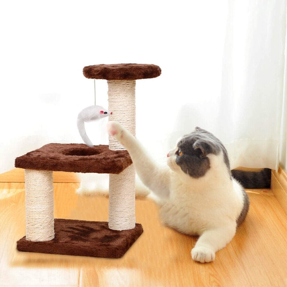 Verabella Cat Tree for Small Cat,Cute Cat Tower Scratching Posts for ...