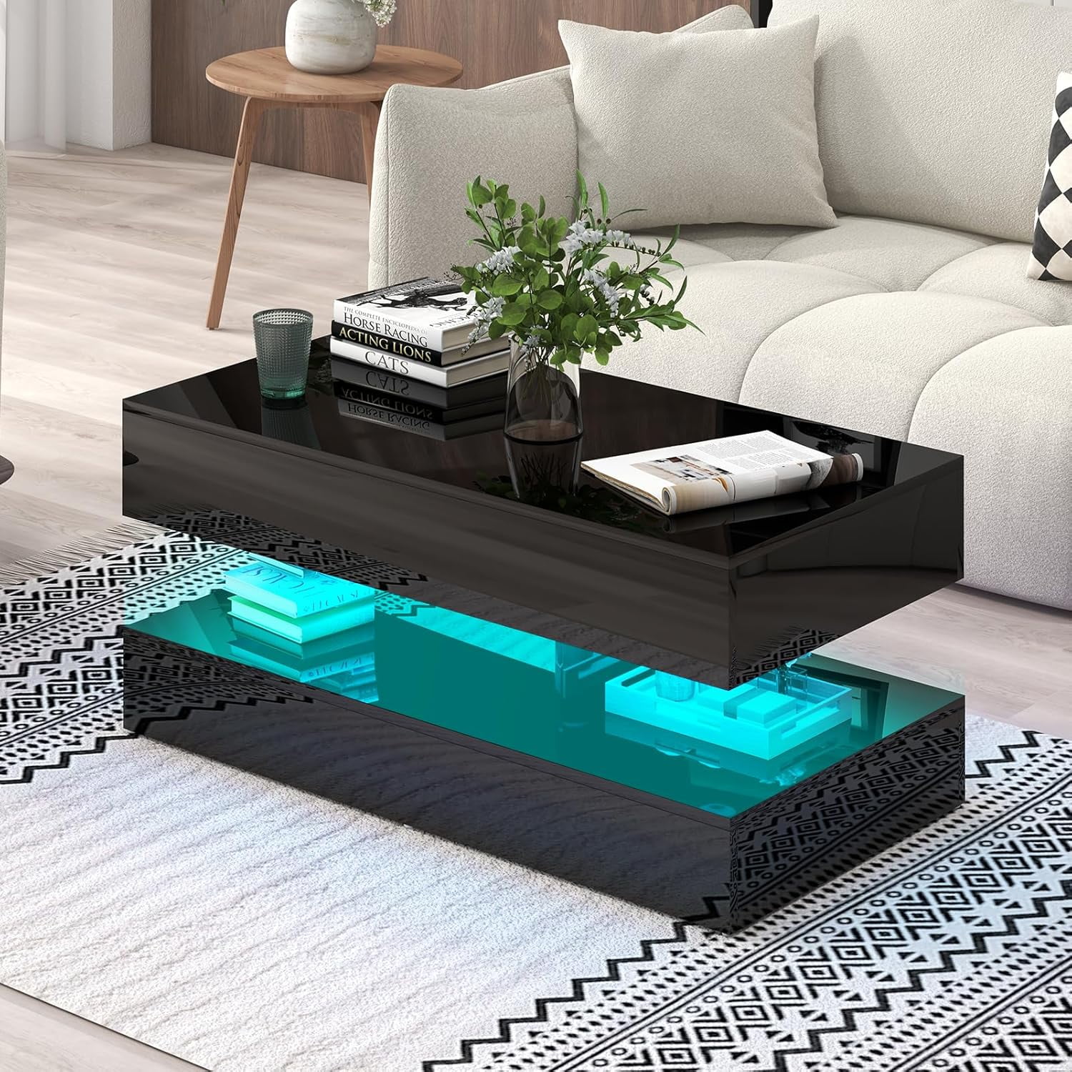 Verano Garden Modern High Gloss LED Coffee Table with Storage, 2-Tier Center Table with Open ...
