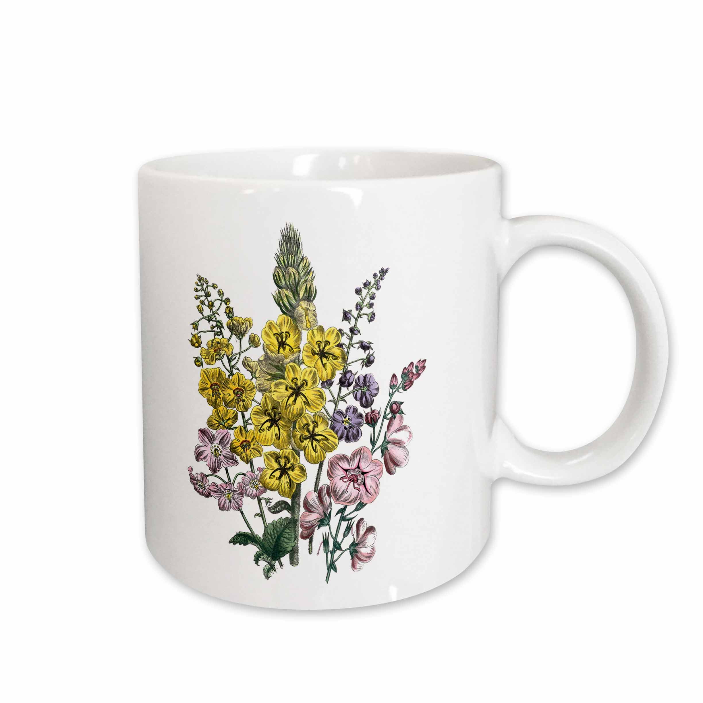 3drose, Verbascum, Celsia, Ramondia Flowers in Pink, Yellow and ...