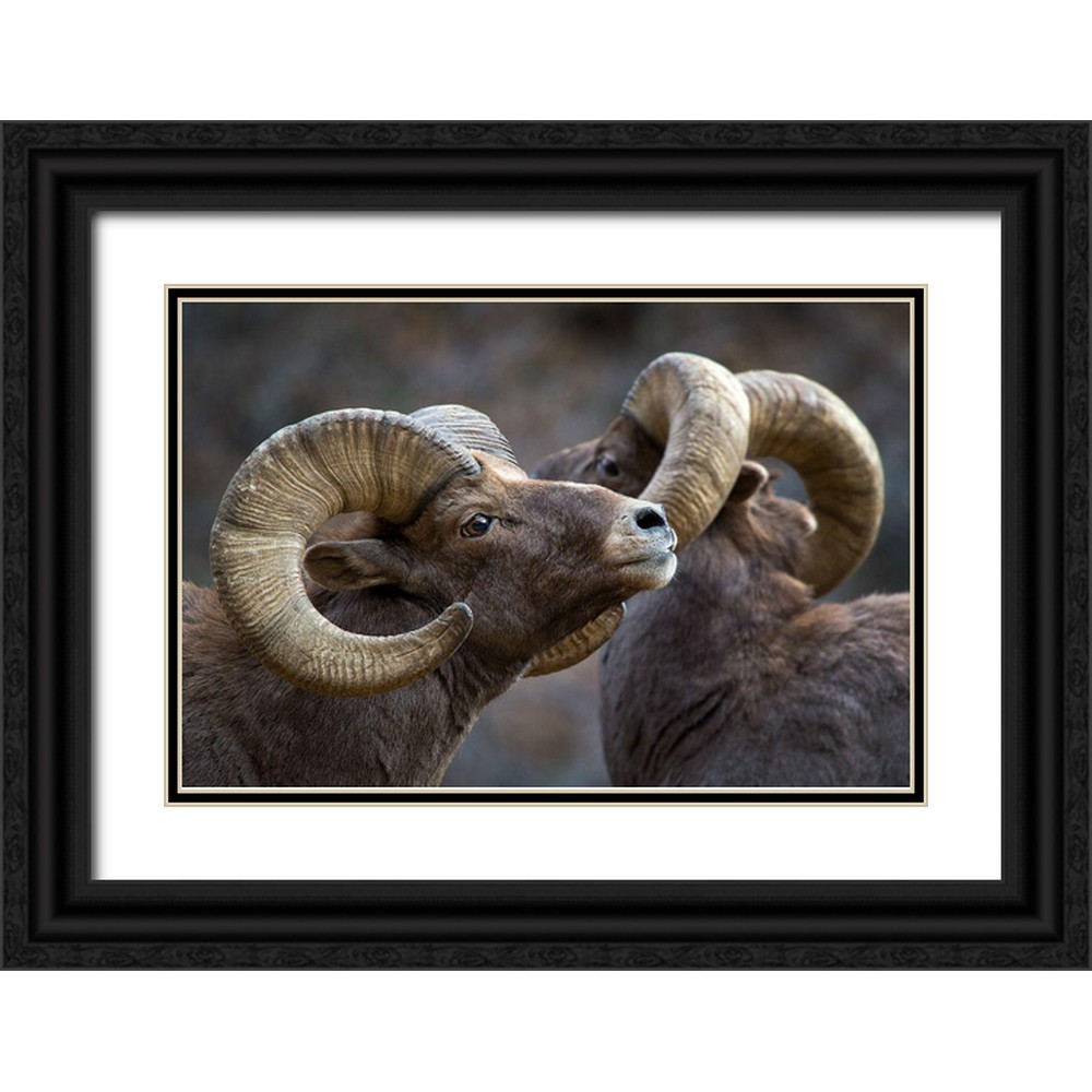 Verdon 24x17 Black Ornate Wood Framed with Double Matting Museum Art ...