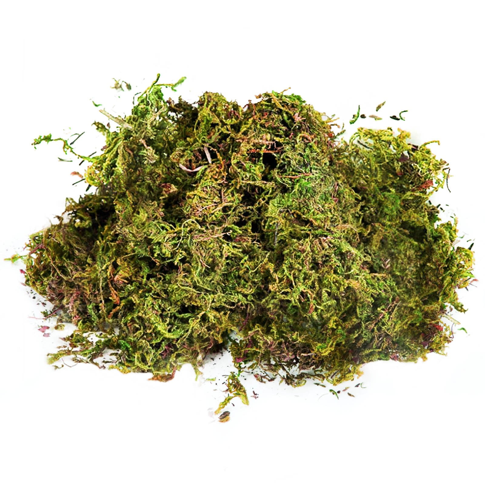 Verdsylv Artificial Moss, Artificial Moss for Potted Plants - Realistic ...
