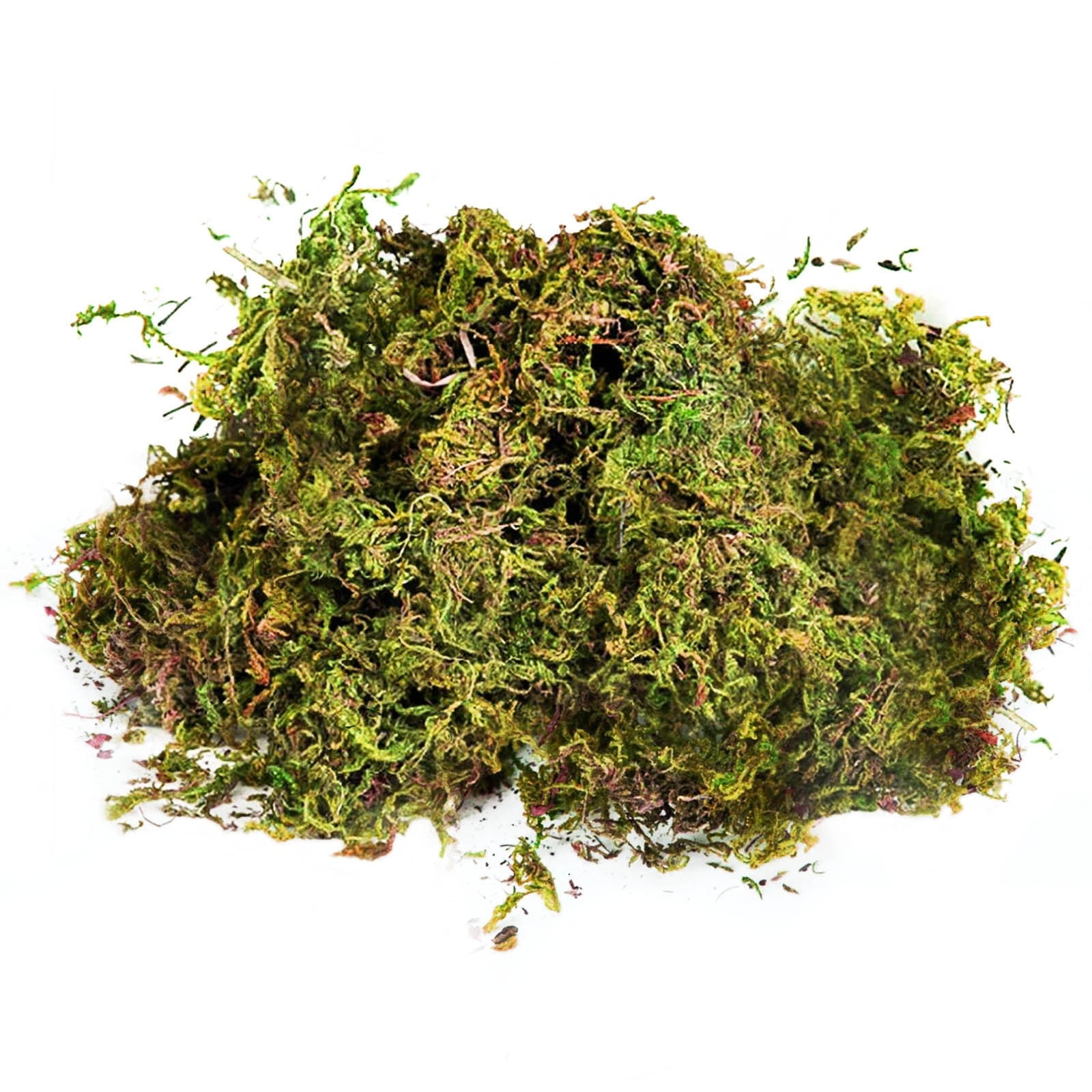 Verdsylv Artificial Moss Sheet, Artificial Moss Sheet - Realistic ...