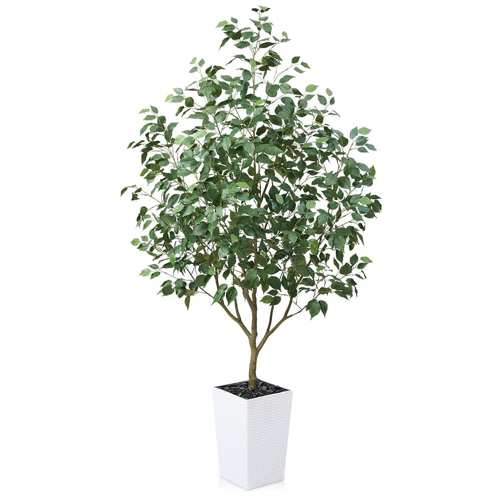 VeriNatural 6FT Artificial Ficus Tree with White Taper Pebbles- Tall ...
