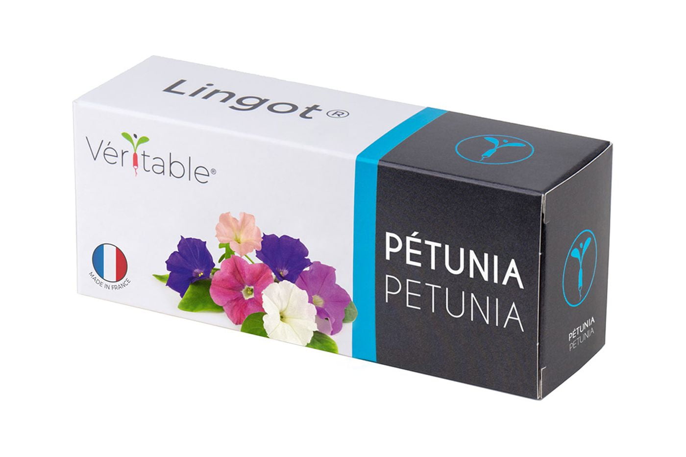 Veritable Lingot Petunia - Walmart Business Supplies