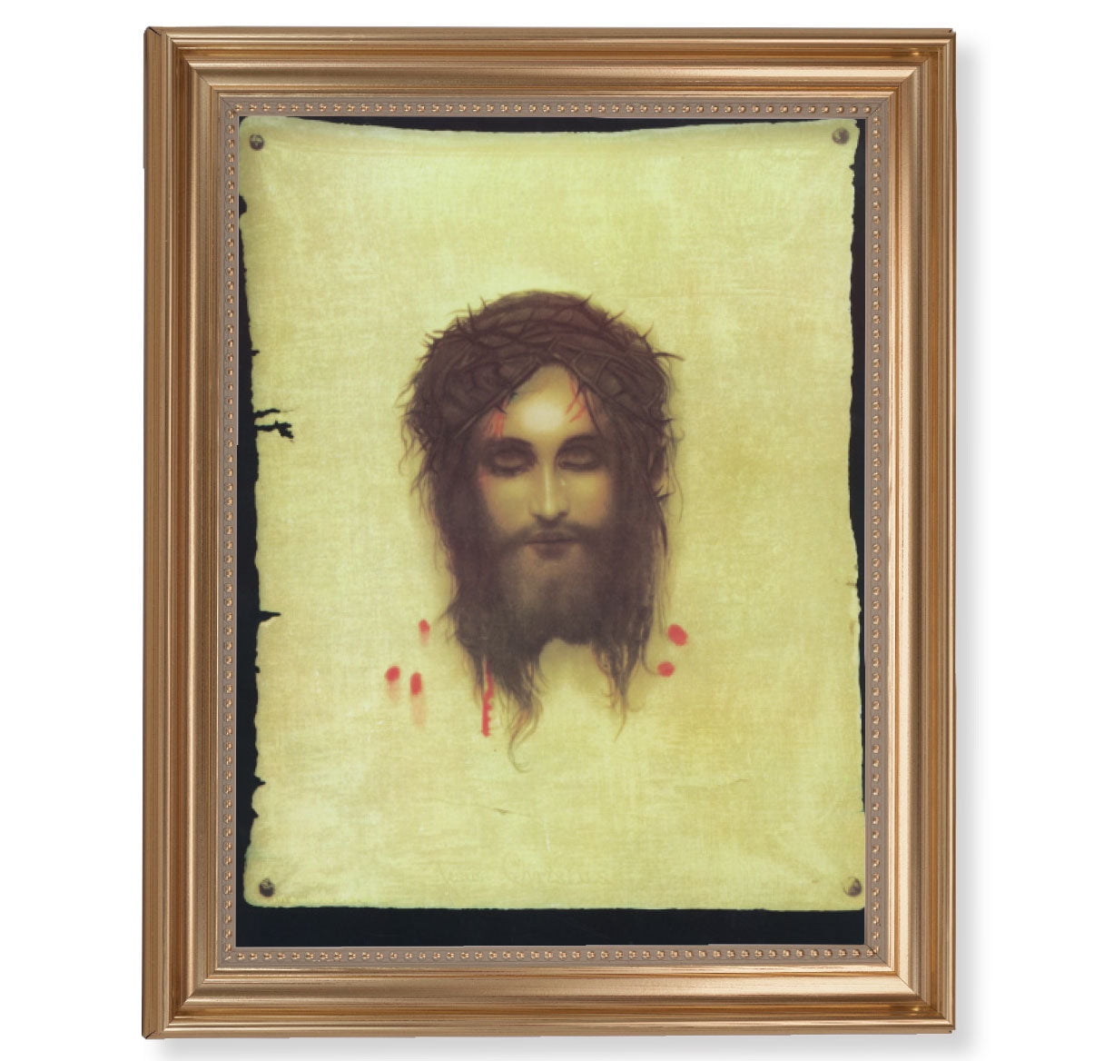 Veronica's Veil Picture Framed Wall Art Decor Extra Large, Classic Gold ...