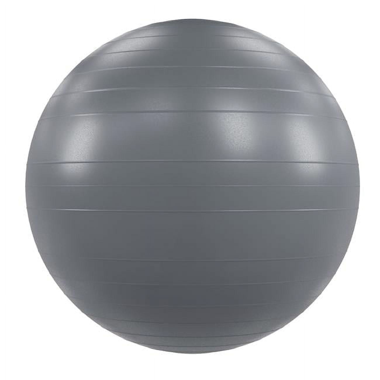 VersaBall Pro 65cm - Gray - Walmart.com