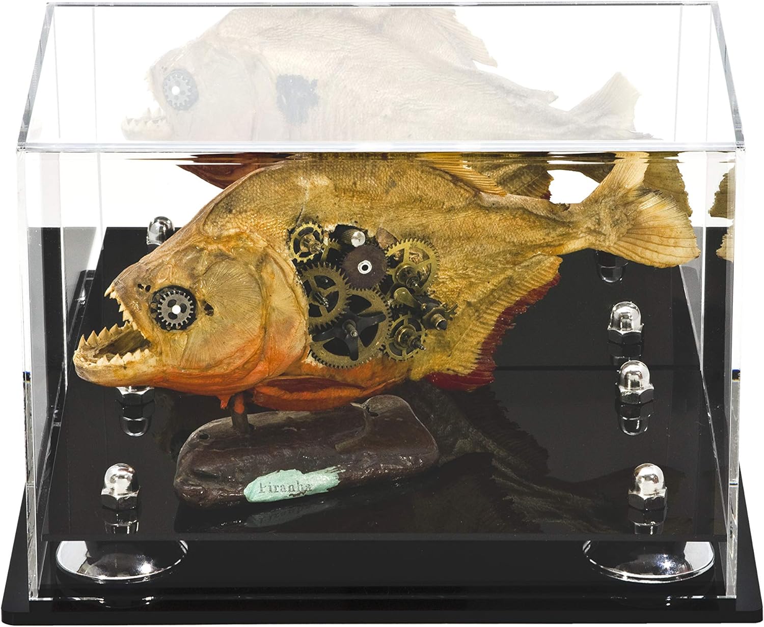 Versaile Display Case - Small Recangle Box wih Silver Risers Mirror and ...