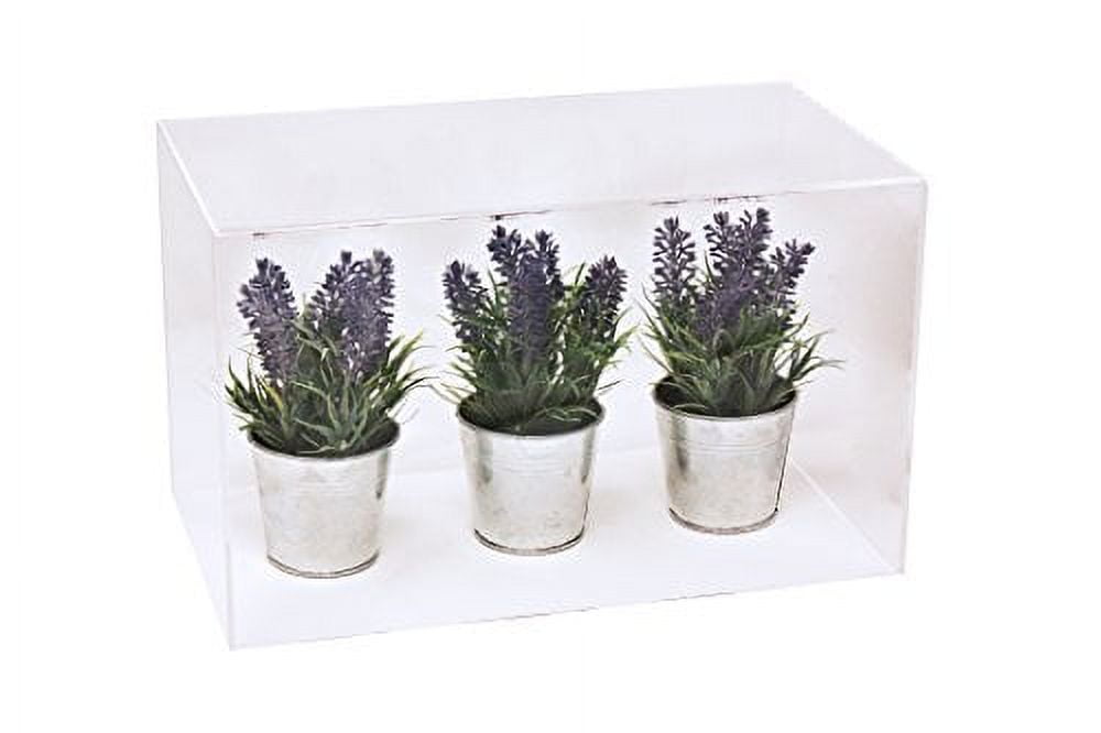 Versatile Acrylic Clear Display Case - Medium Rectangle Box with Black ...