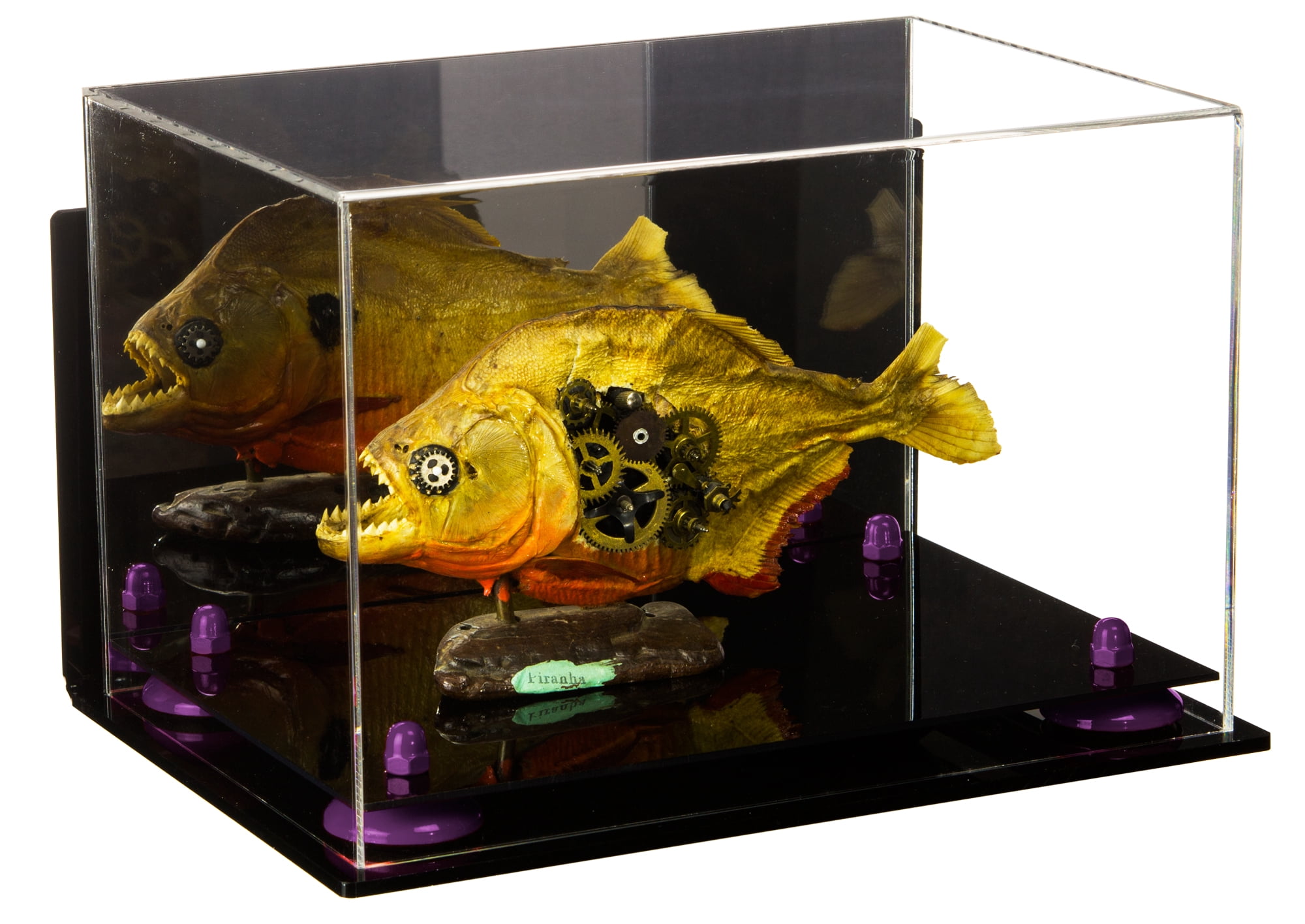Versatile Acrylic Display Case - Medium Rectangle Box with Mirror, Wall ...