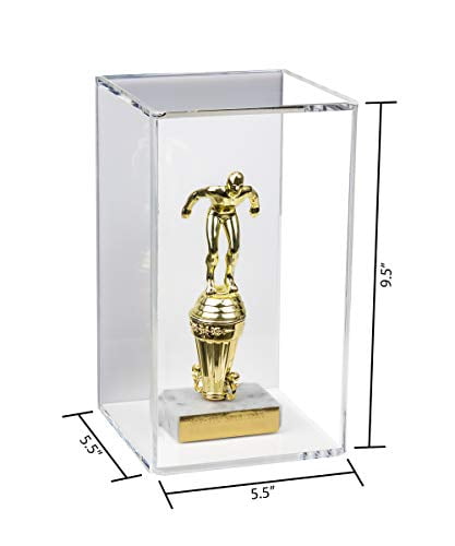 Versatile Acrylic Display Case White Back and Wall Mount (Vertical or ...