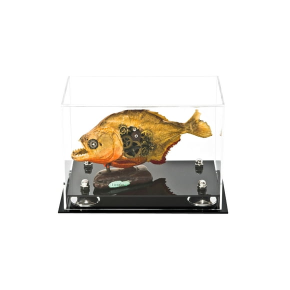 Clear Acrylic Display Boxes