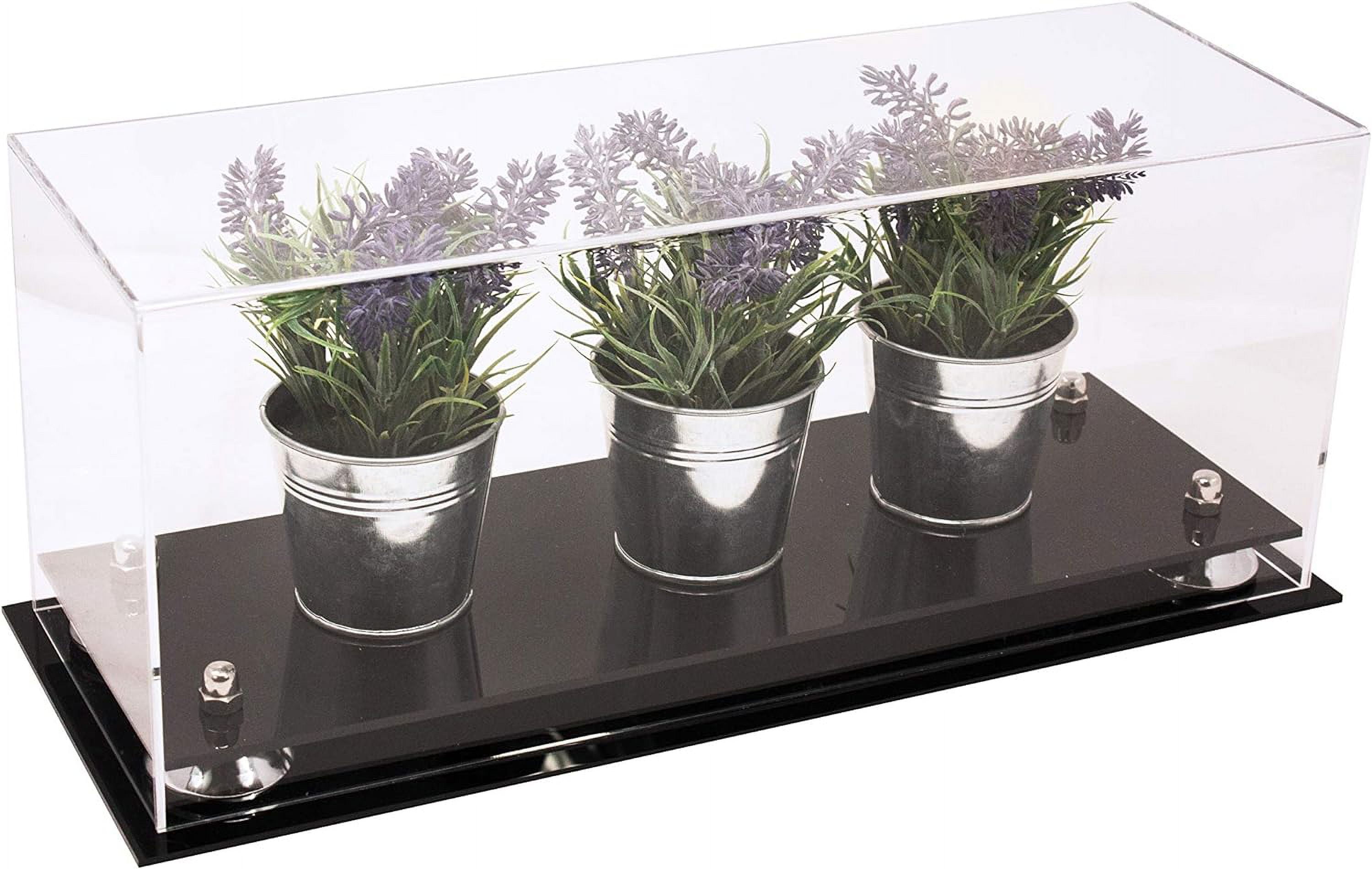 Versatile Clear Display Case - Large Rectangle Box with Silver Risers ...