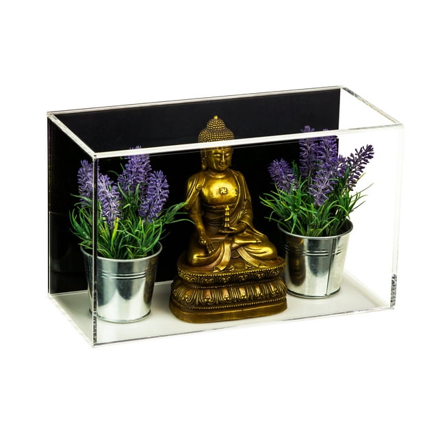 Versatile Deluxe Acrylic Display Case with Black Back Horizontal Wall ...