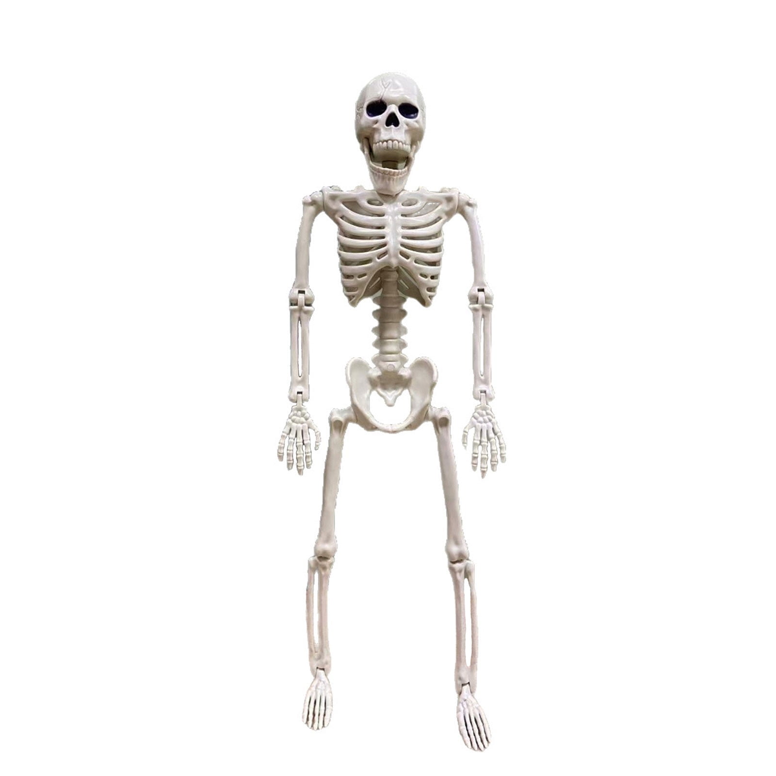 Versatile Desktop Ornament Decorative Skeleton for Home and Realistic ...