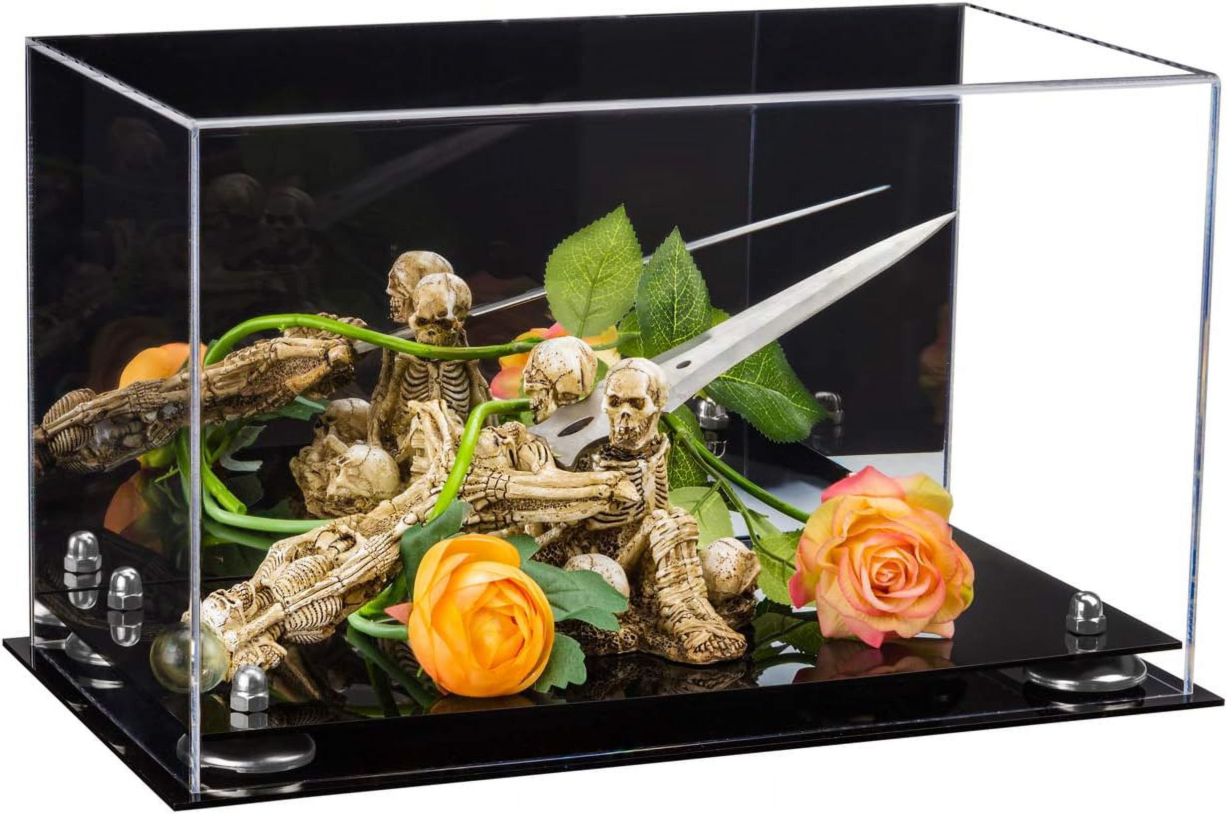 Versatile Display Case - Medium Rectangle Box with Silver Risers and ...