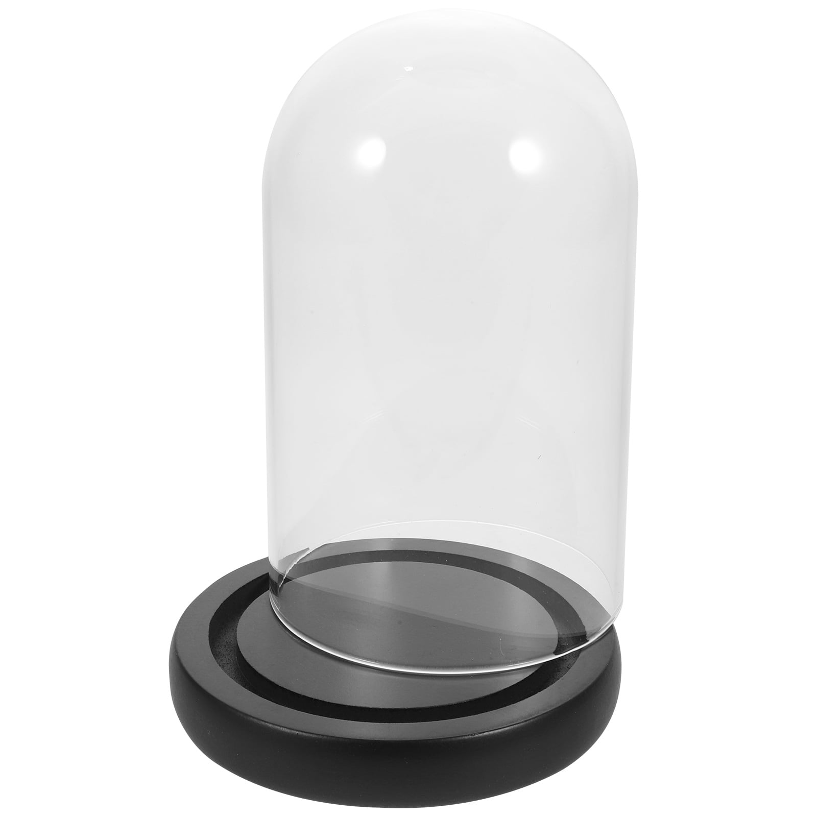 Versatile Showcase Base With Glass Dome Clear Preserved Flower Display ...