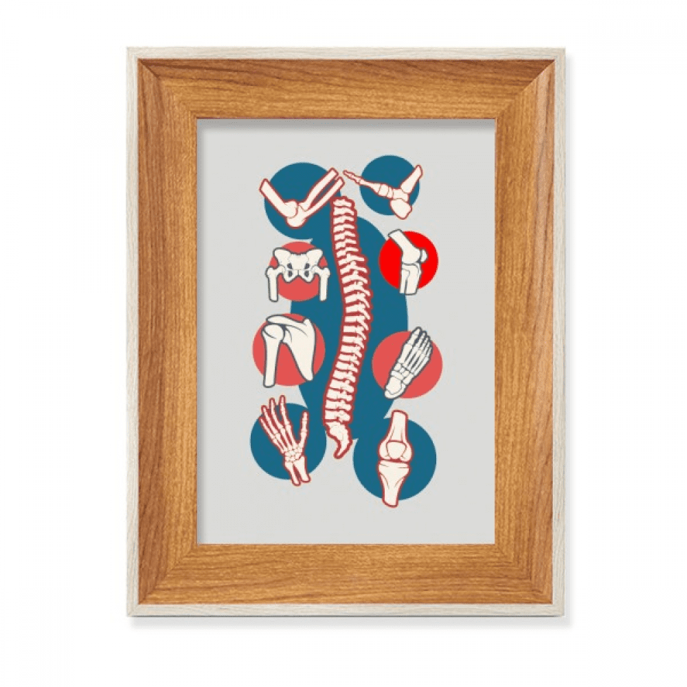 Vertebral Body Joint Illustration Desktop Wooden Photo Frame Display ...