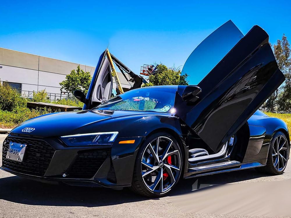 Audi R8 Door