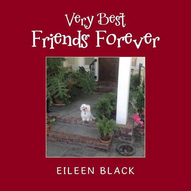 Very Best Friends Forever (Paperback) - Walmart Business Supplies